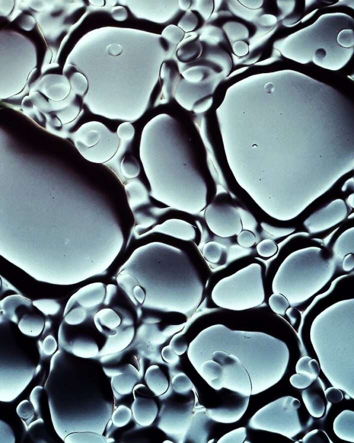 Organisms Without Blood and Variations in Blood Color