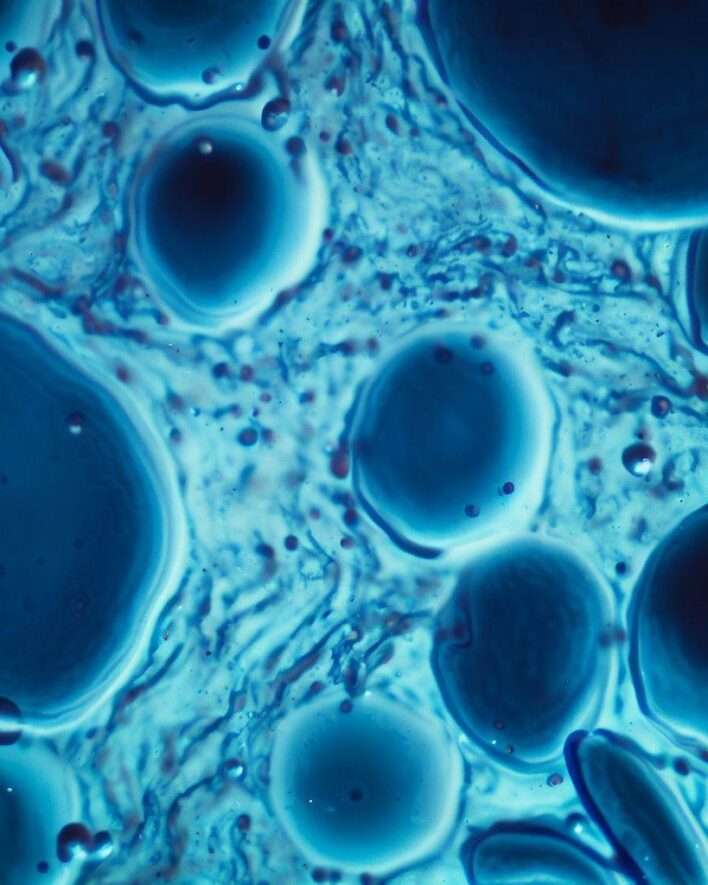 Organisms Without Blood and Variations in Blood Color